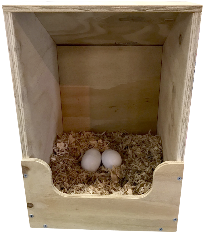 iO Single Chicken Layer Box | Independents Own