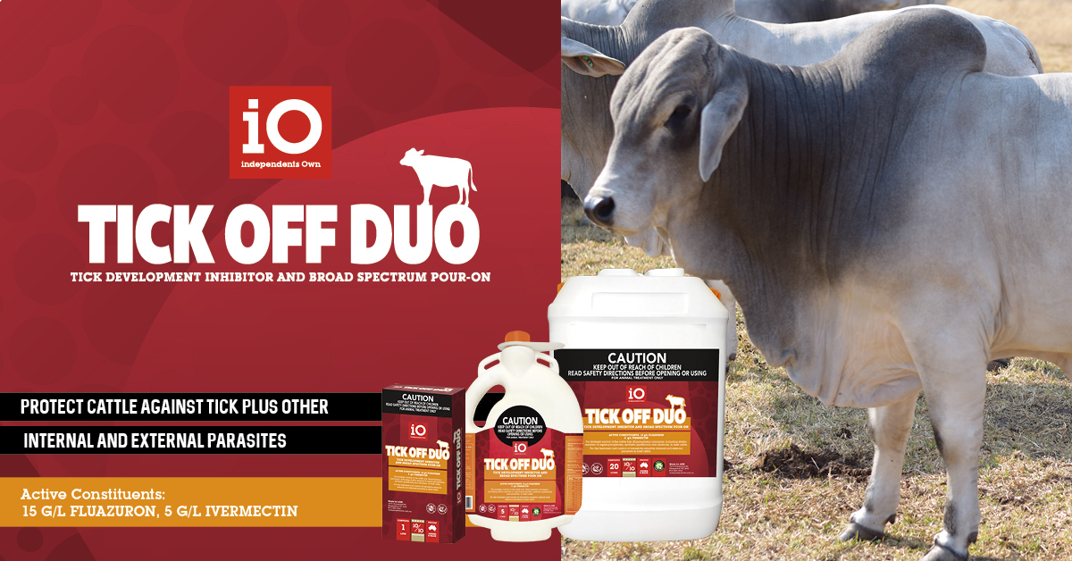 iO Tick Off Pour On | Independents Own