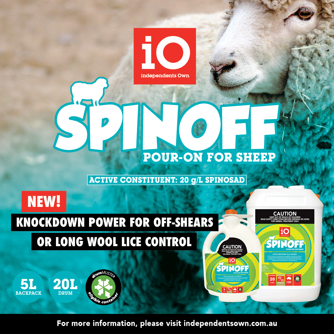 SpinOff Pour-On For Sheep | Independents Own